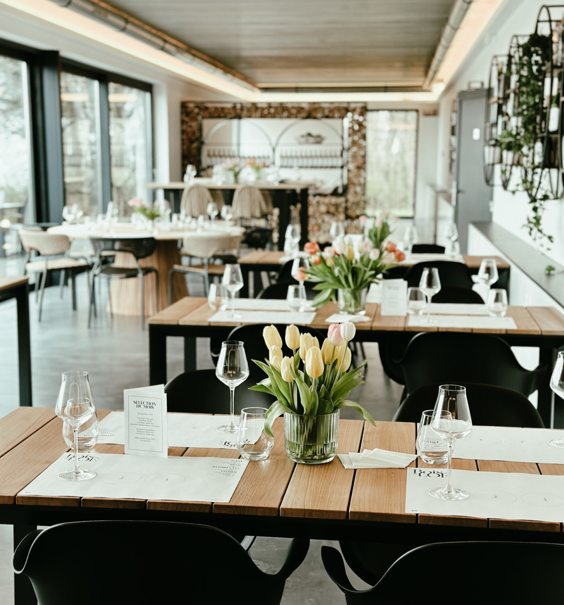Le Vignoble du Bois de Loë devient un incontournable - Vino.be